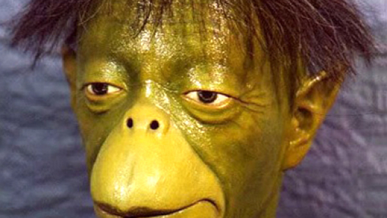 KAPPA, Mitos atau Nyata? | Berita Jepang Japanesestation.com