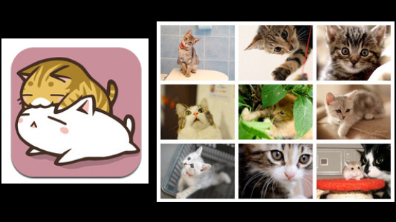 Aplikasi iPhone Imut Untuk Penggemar Kucing | Berita Jepang ...