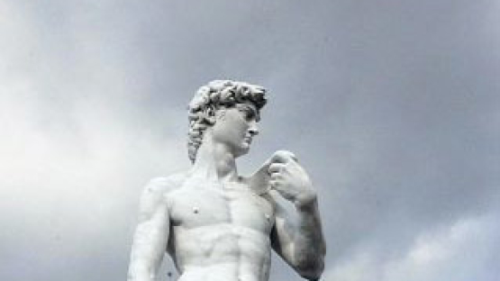 Penduduk Okuizumo Terganggu Dengan Patung David Karya Michelangelo ...