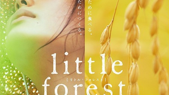 Ai Hashimoto membintangi film baru berjudul LITTLE FOREST: SUMMER ...