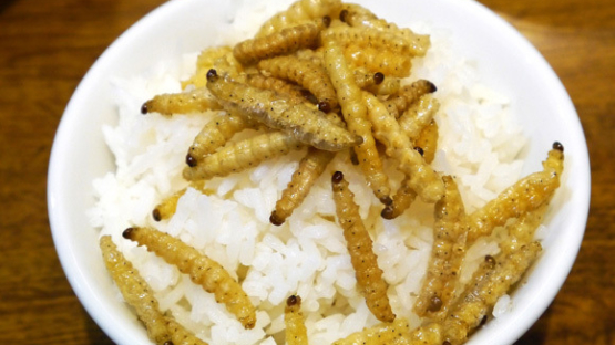 Wow! Restoran Di Jepang Ini Sajikan Ulat Goreng! | Berita Jepang ...