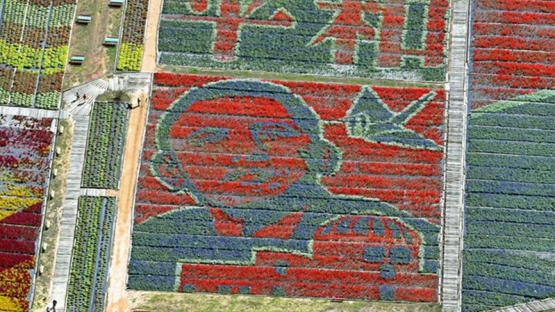 Wow! Taman Bunga di Hiroshima Ciptakan Gambar Obama Dari 200.000 Bunga ...