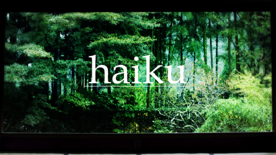 Mengenal Haiku, Puisi 5-7-5 Suku Kata dari Jepang | Berita Jepang ...