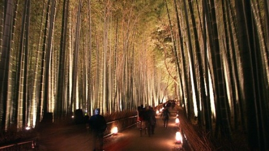"Hanatoro", saat Kyoto bertabur iluminasi nan cantik dan indah | Berita ...