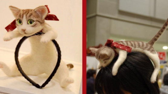 Bando kucing, untuk mereka yang tak puas dengan bando telinga kucing ...