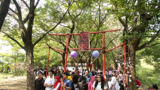 Orenji 2014, Hadir Kembali Dengan Kemeriahan Baru! | Berita Jepang ...