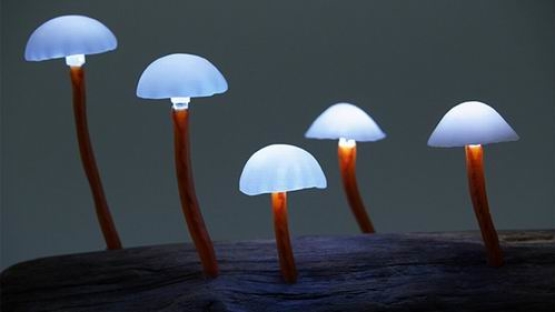 Lampu LED Unik Berbentuk Jamur Karya Yukio Takano | Berita Jepang ...