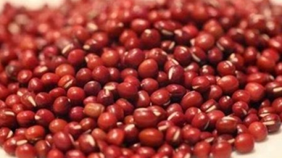 Manfaat Kacang Merah Adzuki Bagi Kesehatan | Berita Jepang ...